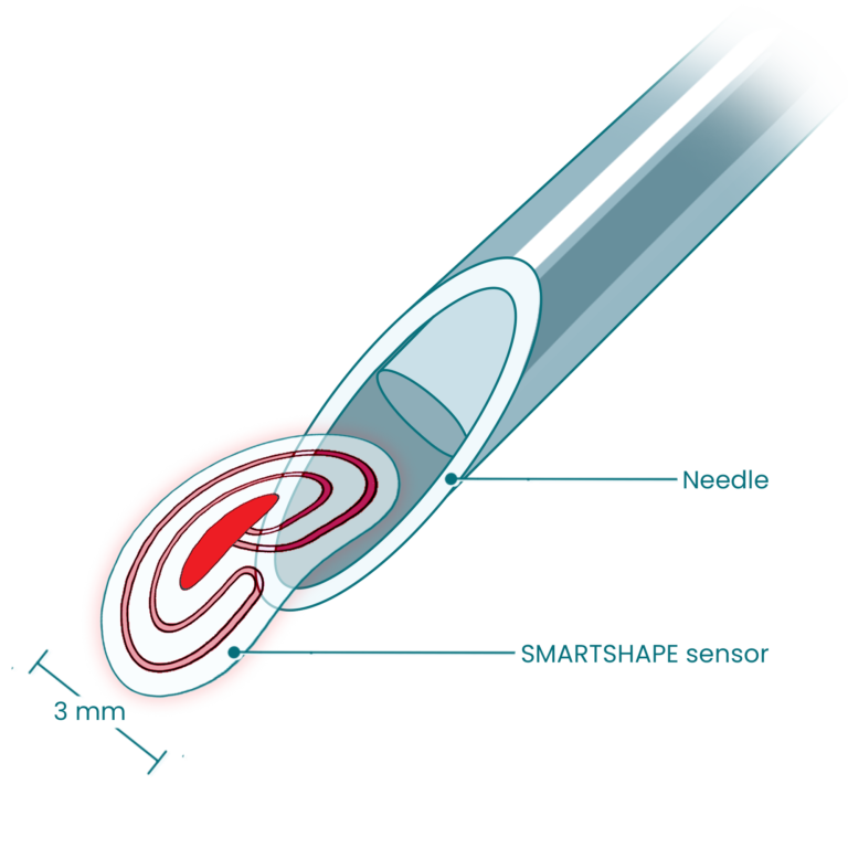 About us - SMARTSHAPE