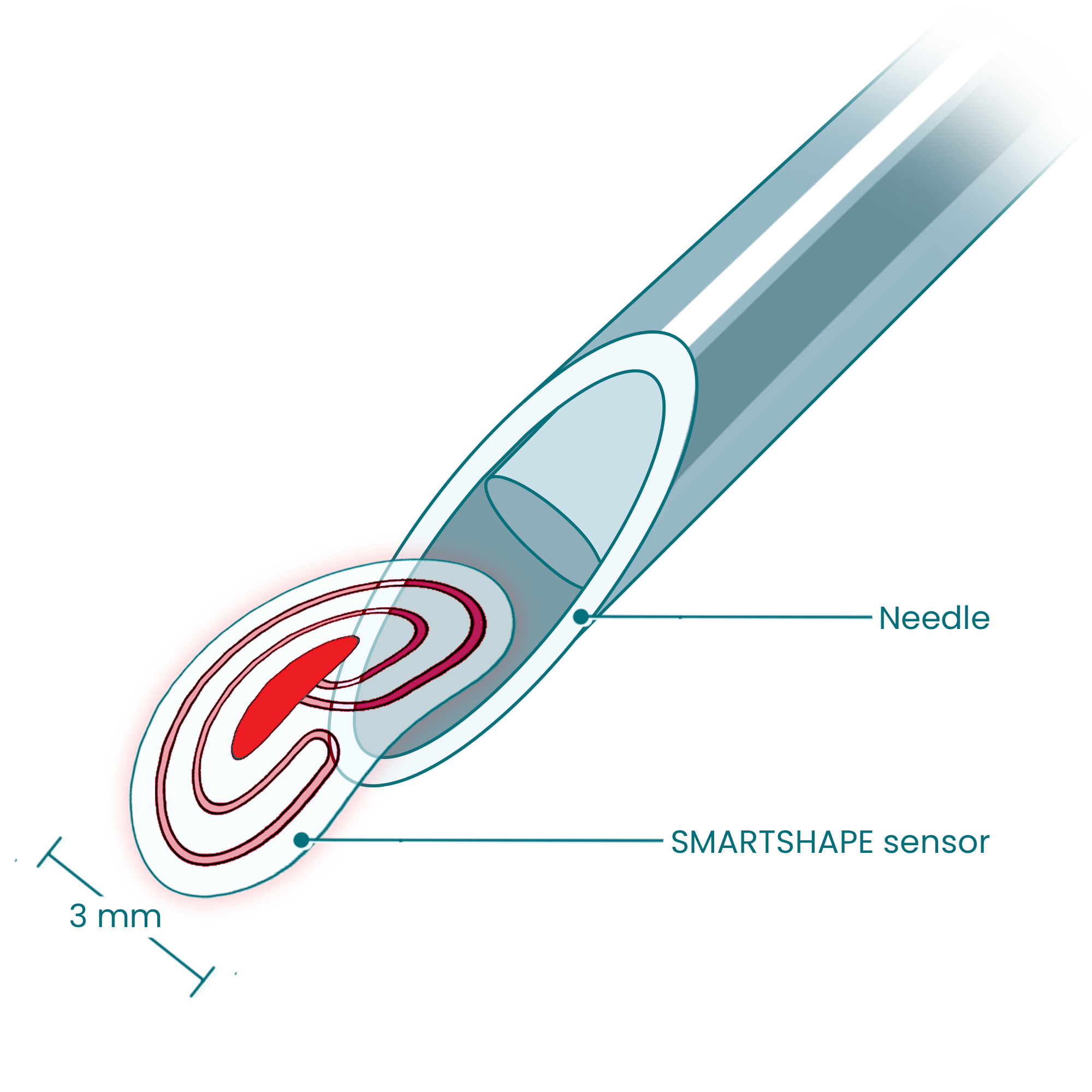 About us - SMARTSHAPE